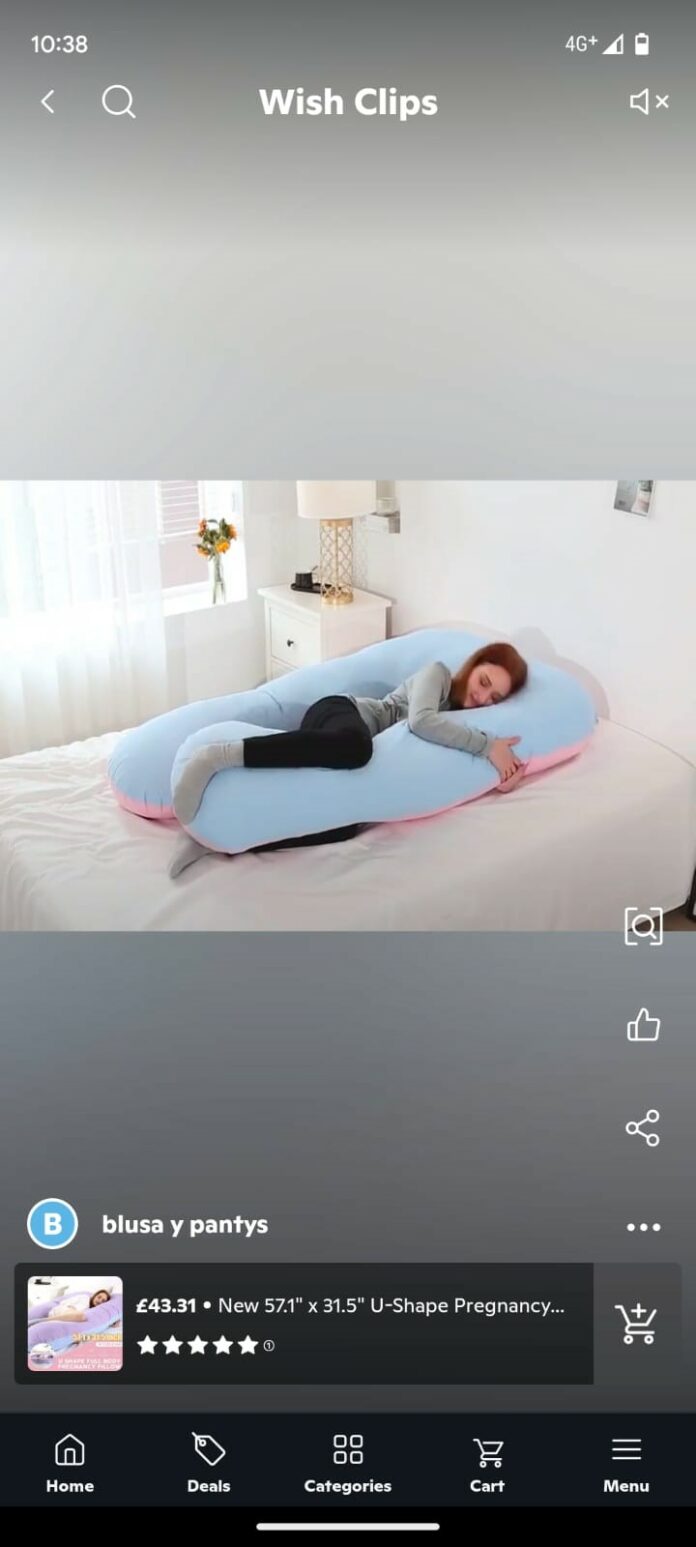 Interview: How Wish aims to compete with rivals Shein and Temu - Retail ...