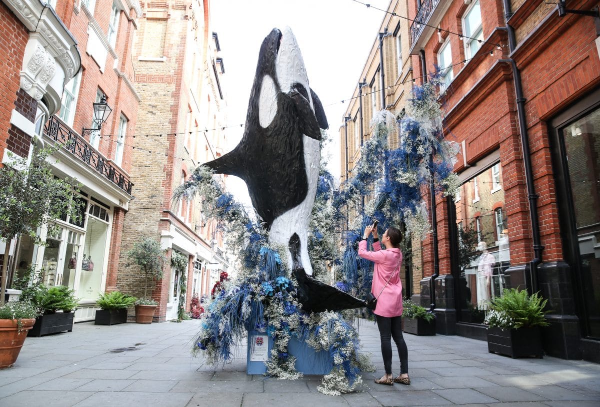 Retail Gazette Loves: Chelsea in Bloom competition - Retail Gazette